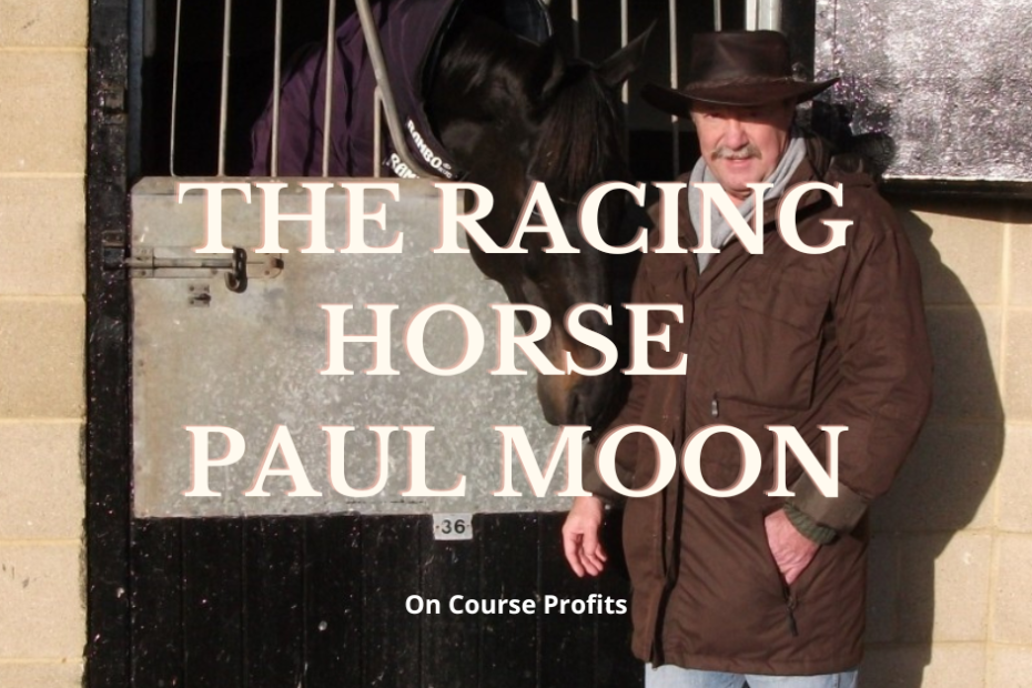 The Racing Horse - On Course Profits