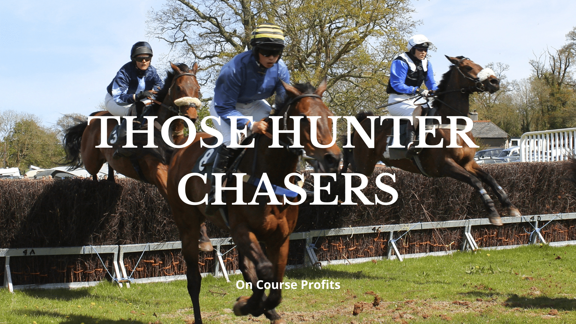 On Course Profits - Horse racing systems, strategies and research to ...